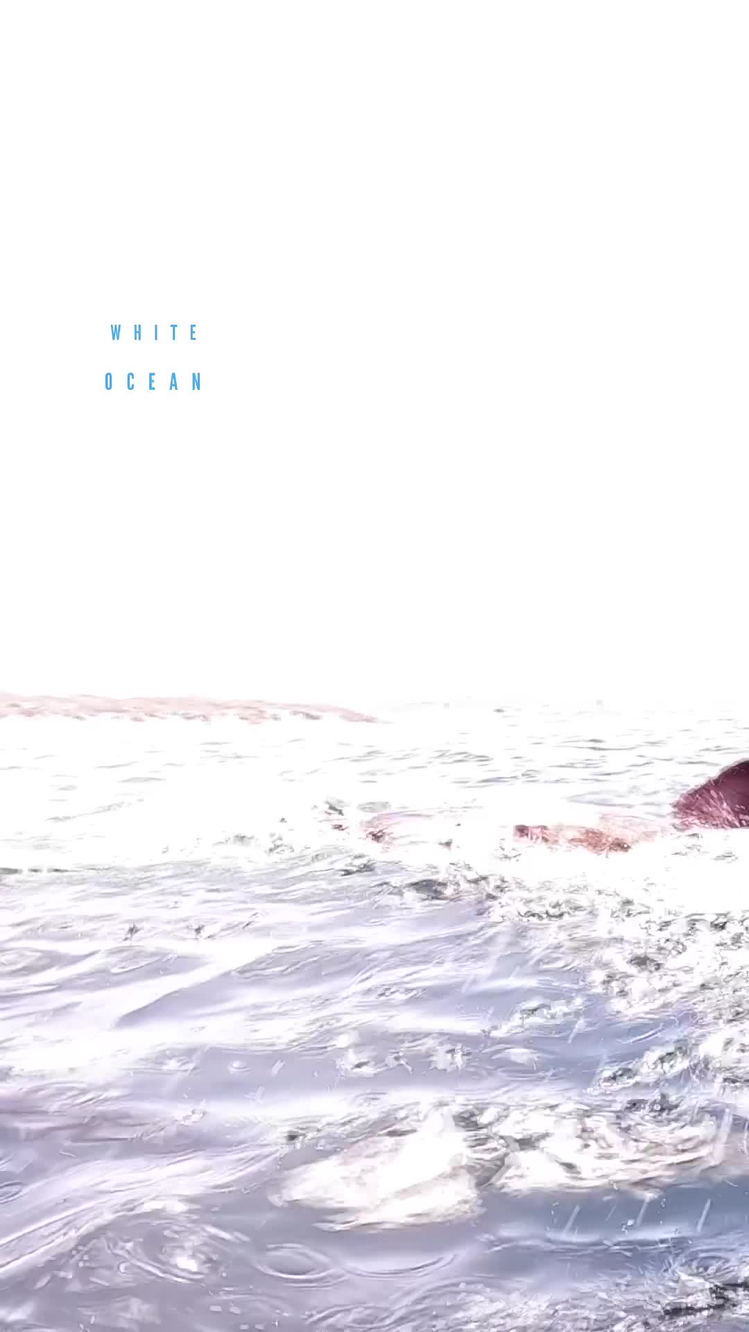 Great White Shark Circles