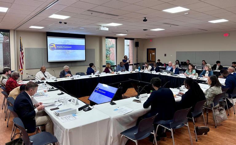 Leon Charter Review panel backs adding support of DEI to county ...