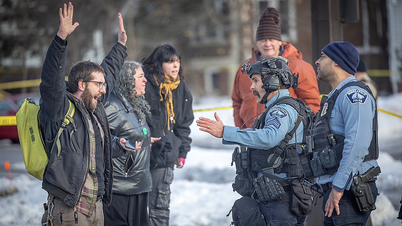 Renee Good’s wife claimed Minneapolis shooting was 'my fault' in video ...