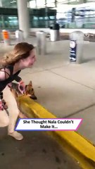 Soldier thinks her dog isn’t there—then she sees who’s waiting ...