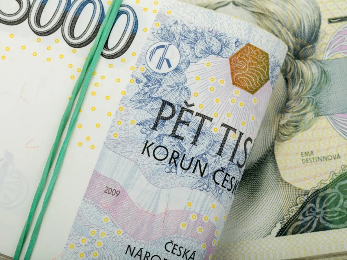 „Vyplatí se to vždy.“ Jak chce Babišova vláda seškrtat stát tam, kde se ...