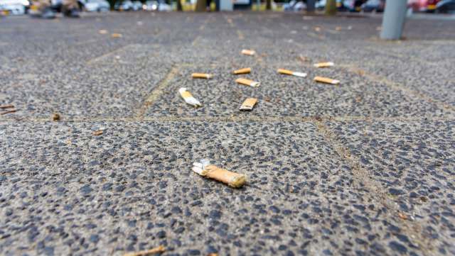 Experts issue warning after study's grim discovery on cigarette filters ...