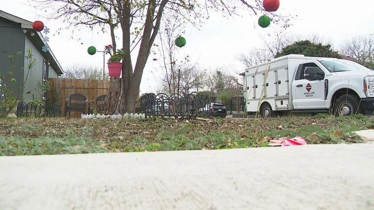 Dog bite sends one person to hospital, owner faces multiple citations