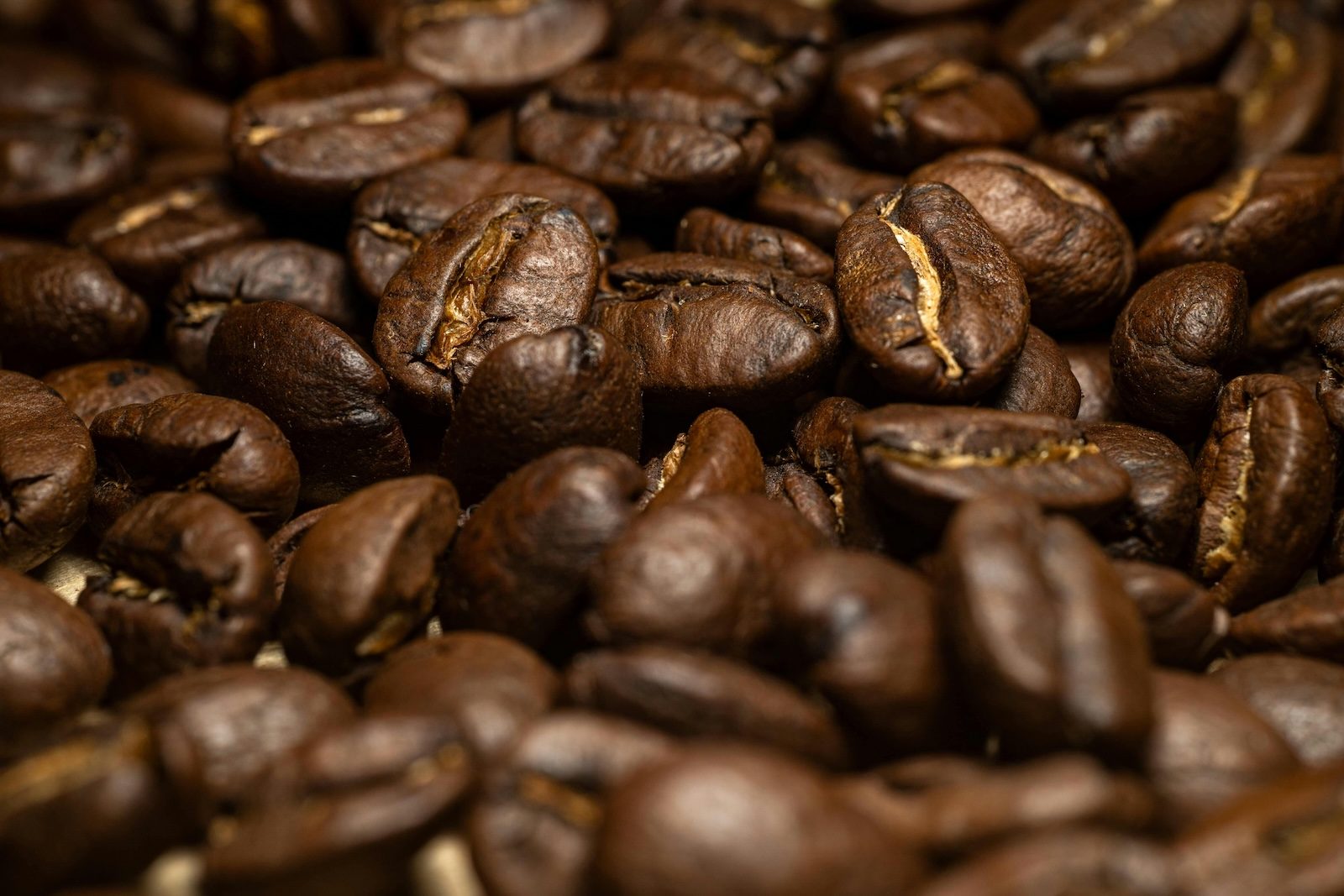 Dark roast vs. medium roast coffee: The real difference in flavor
