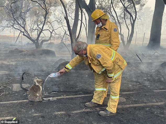 Urgent search for family missing after Victorian bushfire