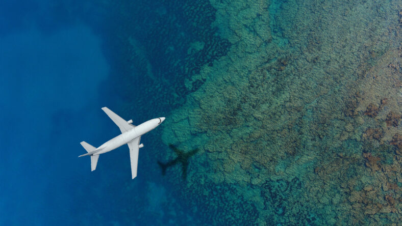 A Girl Died While Their Plane Was In The Air, And Some Random Guy ...