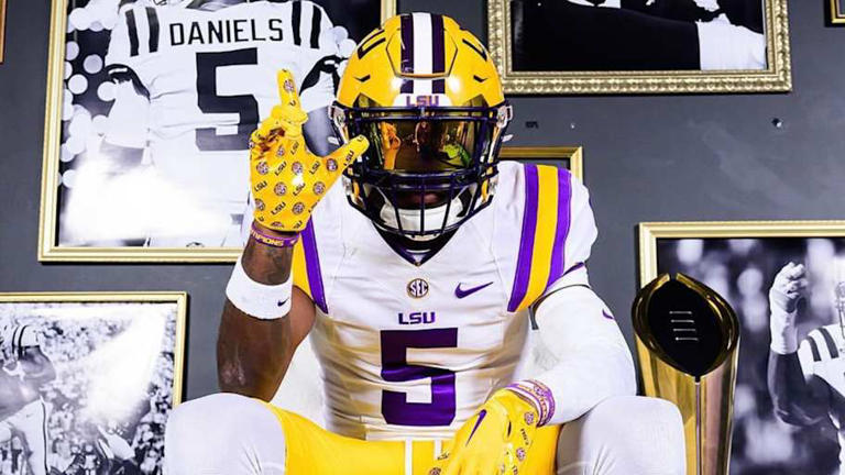 Former LSU football wide receiver TaRon Francis reveals transfer portal ...