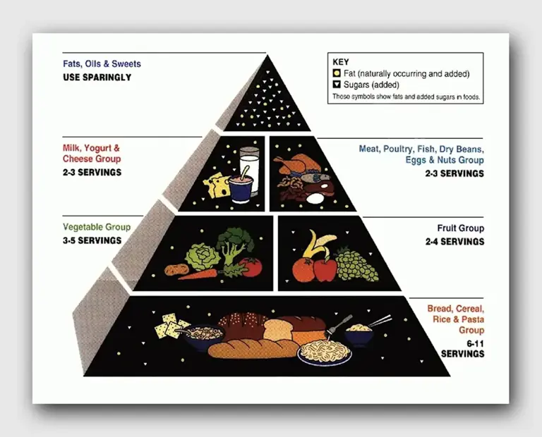 The Trump administration just gave the food pyramid a 'real food' makeover