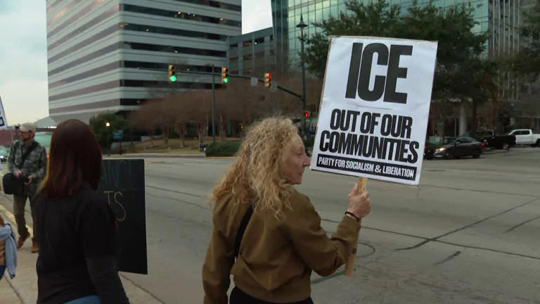 Protestors gather at SC State House after ICE officer kills woman in ...