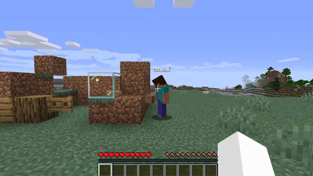 Minecraft entity name challenge