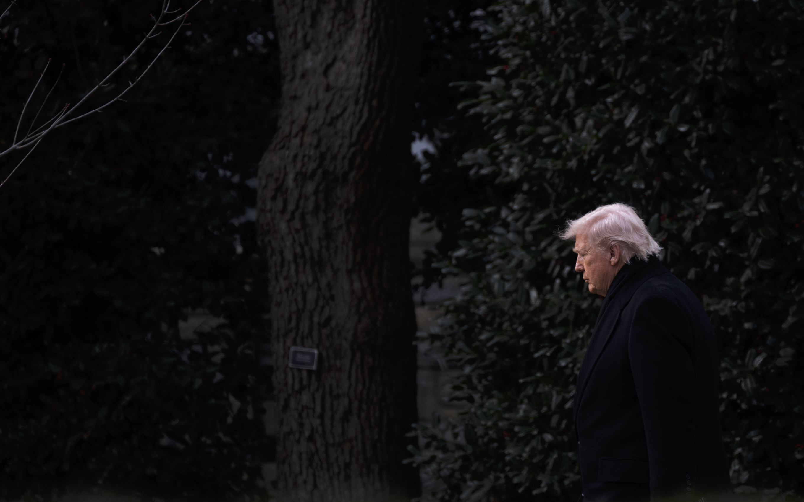 Trump suffers day of significant Republican defections on House and ...