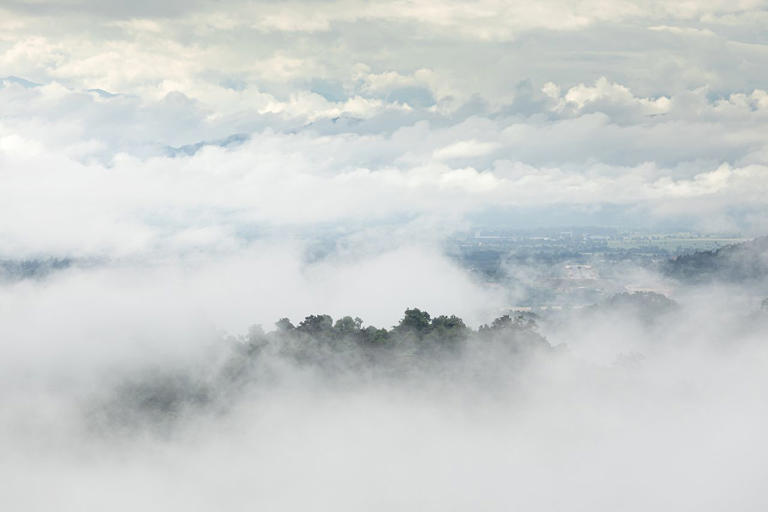 Drinking water supply may come from 'fog harvesting' in the future, new ...