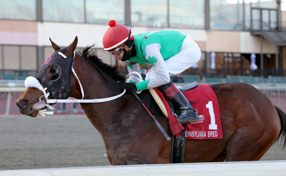 Pennsylvania leaderboard: Enigmatic Stakes winner Mailata headlines ...