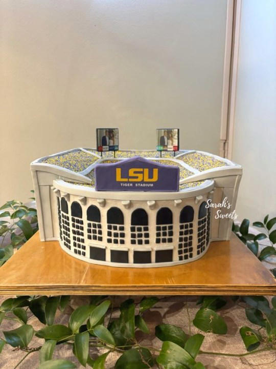 Couple celebrates their love for each other and LSU with Tiger Stadium ...
