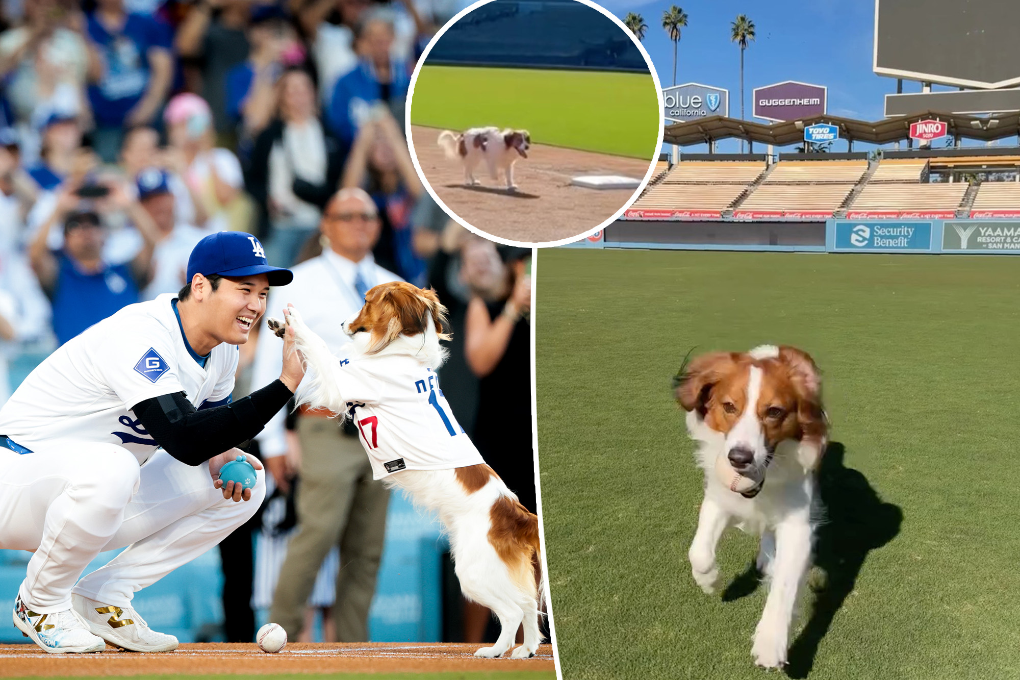 Shohei Ohtani and Decoy make an appearance at Dodger Stadium