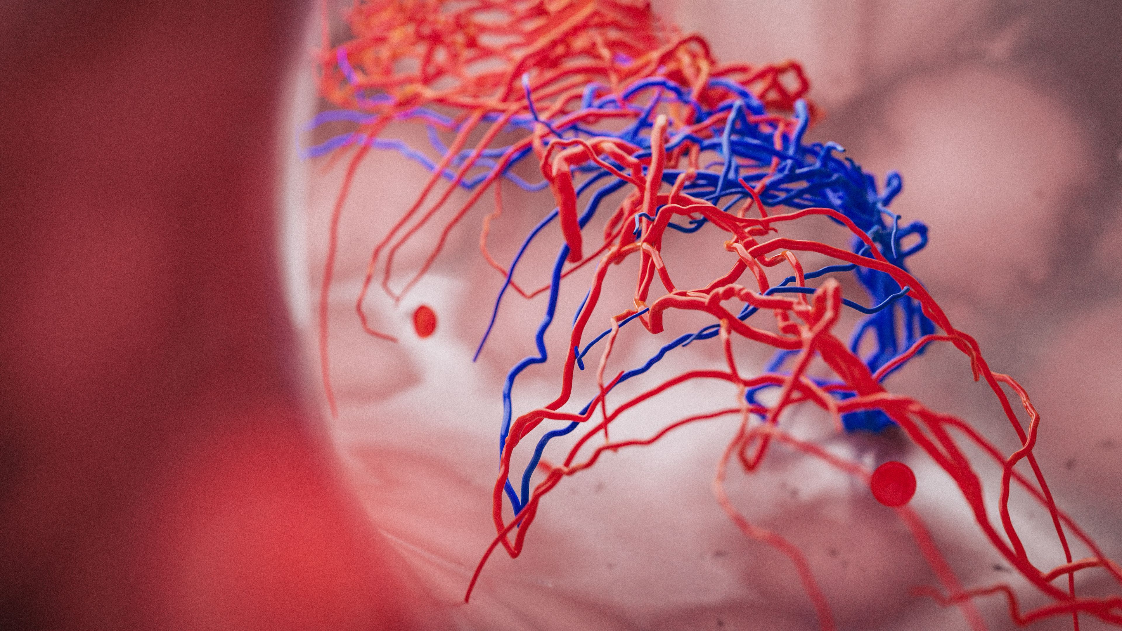 Investigadores de la UNAM desarrollan el primer hígado en chip de ...