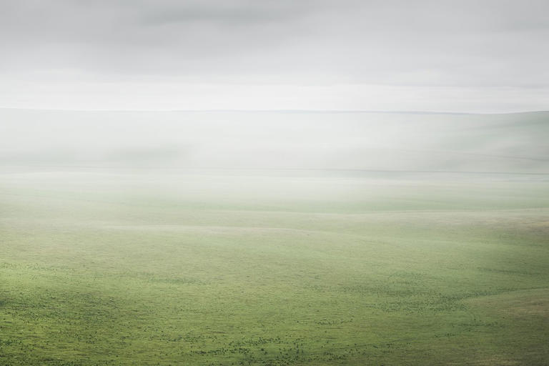 Drinking water supply may come from 'fog harvesting' in the future, new ...