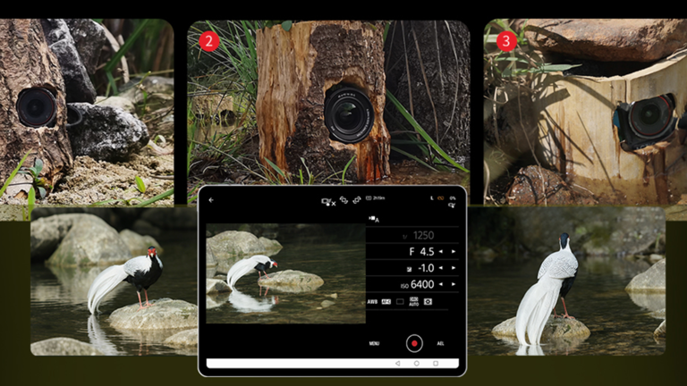 Capture cinematic footage from afar with this long-range wireless ...