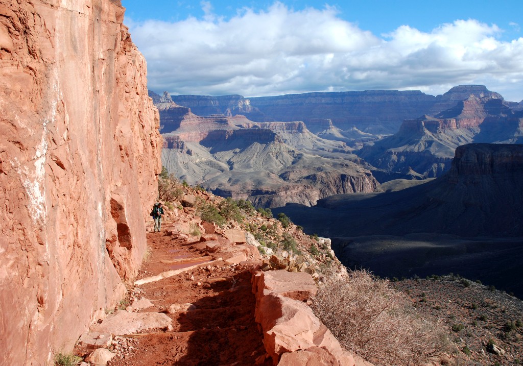 Non-Americans now paying more to visit US national parks – will ...