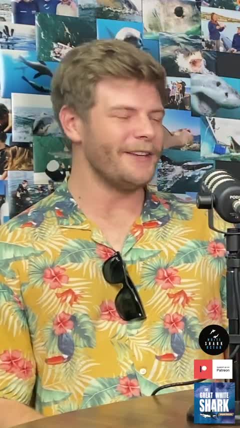 Baby Shark live action