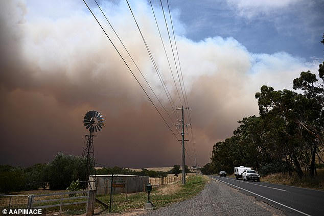 Terrifying fire tornado is seen ripping through bushland as homes are ...