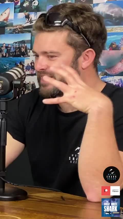 Great white shark funeral