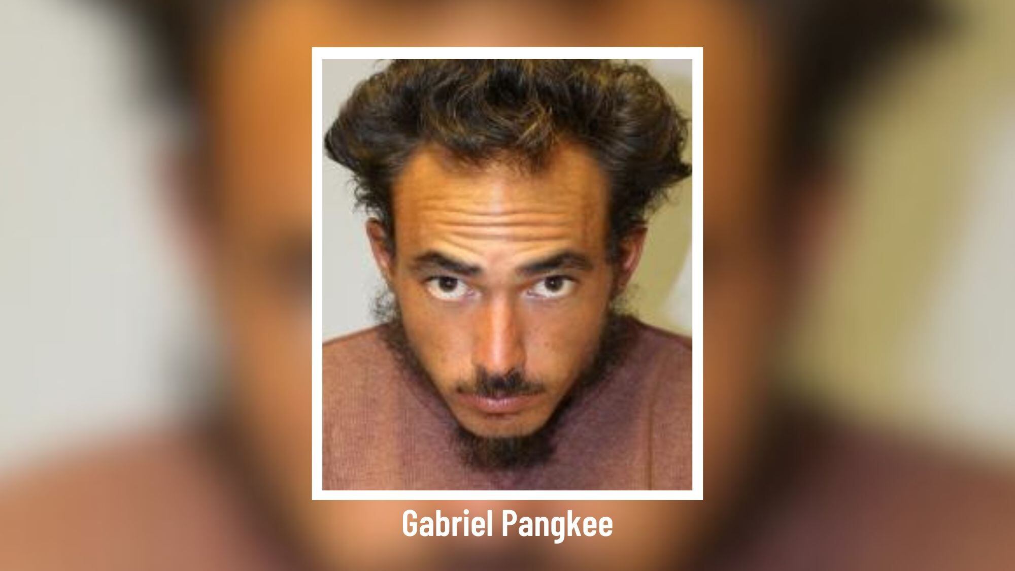 Man with prior convictions arrested after alleged bat attack