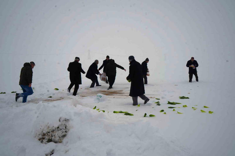 Muş’ta yaban hayvanları için doğaya yem bırakıldı