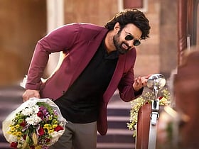 Raja Saab first-day-first-show reviews may not bolster Prabhas' star ...