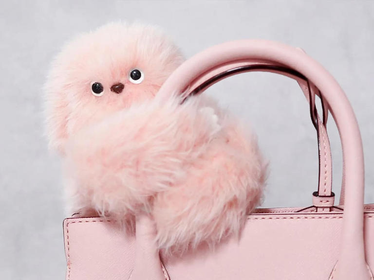 Best of CES 2026: Robots, gadgets, laptops, and more