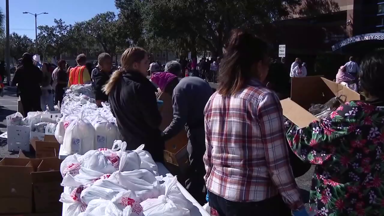 Tampa Bay area non-profits to pivot as USDA releases final food ...