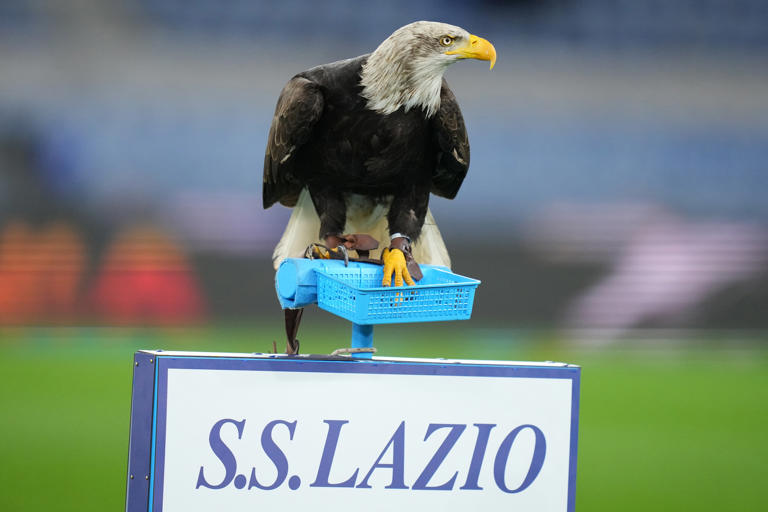 Compleanno Lazio: il club più antico di Roma compie 126 anni, auguri!