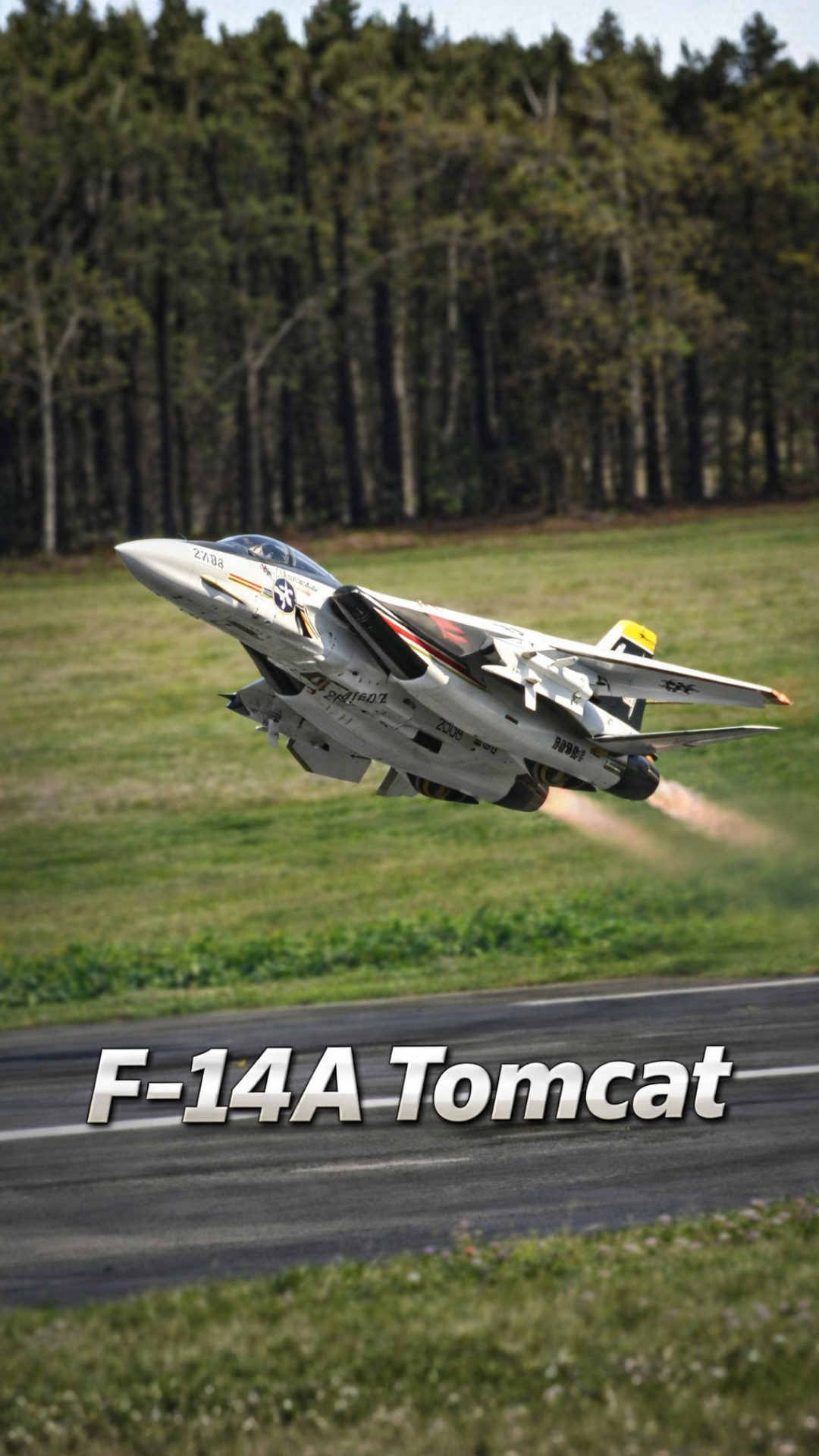 F-14A Tomcat high alpha pass RC jet slow flight showcase