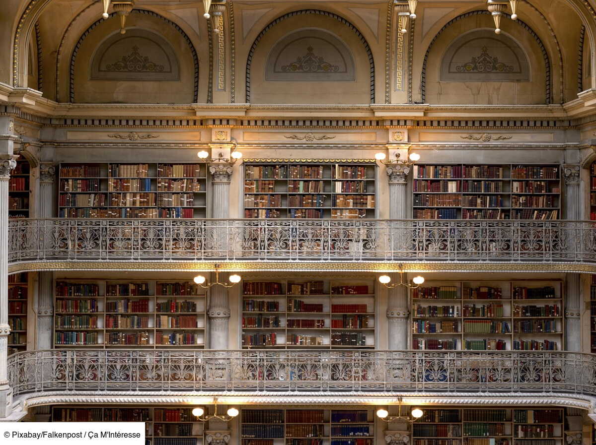 Qu’est-ce que l’intelligence culturelle