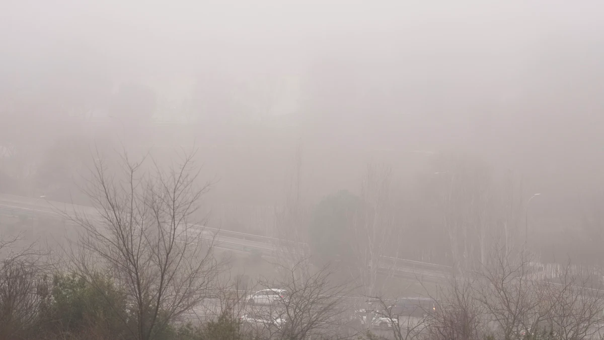 La niebla provoca avisos amarillos de la Aemet en Castilla-La Mancha ...