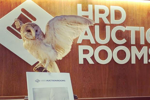 Island auctioneer to be the expert speaker at historical society event