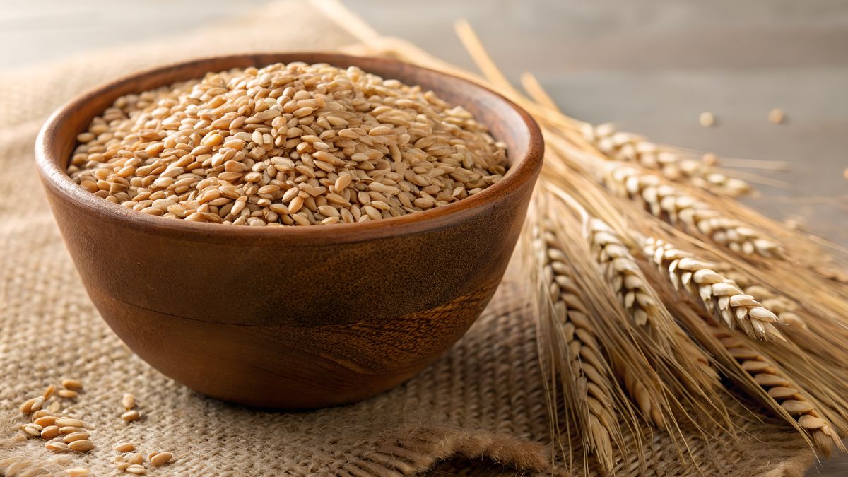 Which city is known as the wheat granary of India?