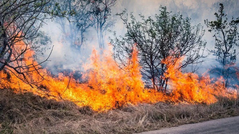 Smoke, fear and dry taps as fires rage across Nelson Mandela Bay
