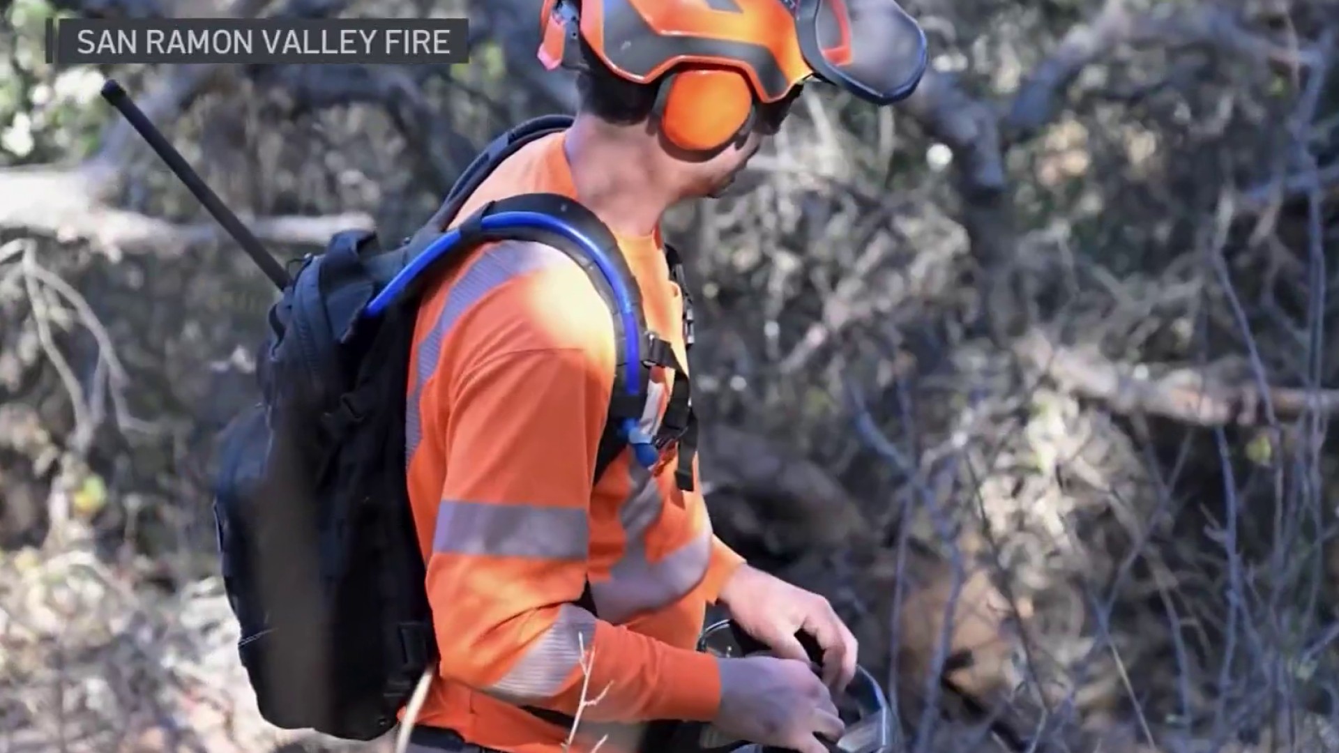 Fire officials say they've faced red tape trying to cut fire risk at Mt ...