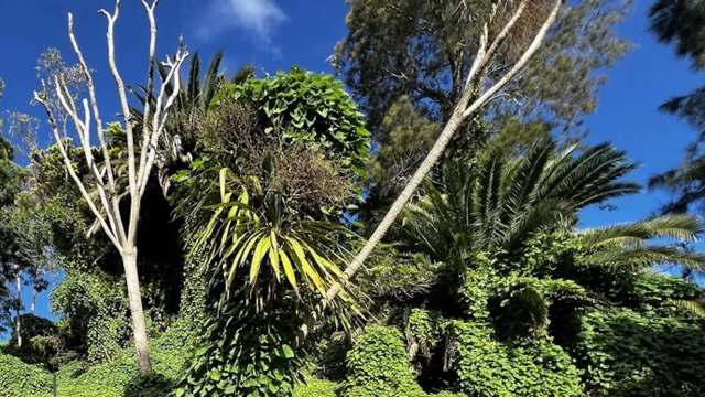 Homeowner shares photo of seemingly unstoppable threat in garden: 'Gone ...