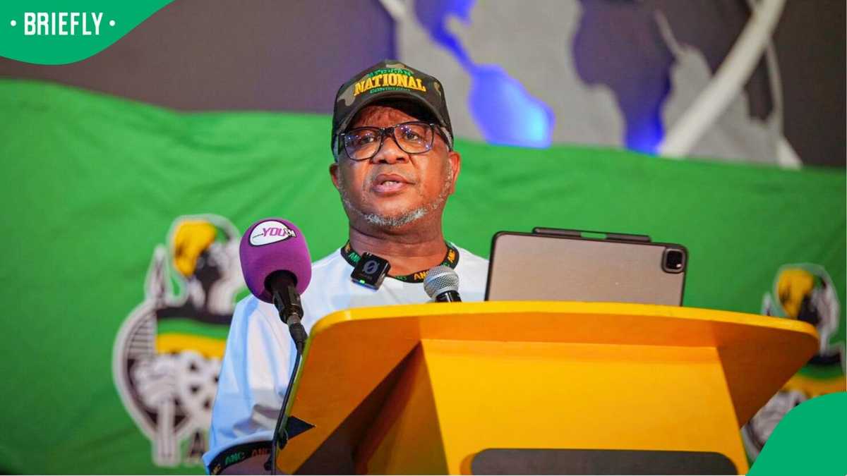 Fikile Mbalula tells jobseekers to refer employers to him over ...