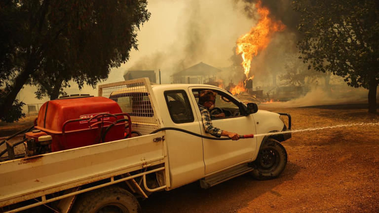 Apocalyptic scenes as bushfires ravage state
