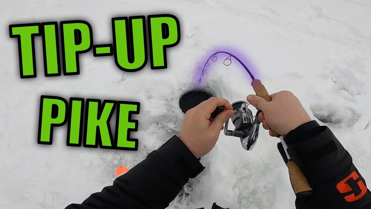 Big pike ice fishing in northern Alberta tip-up action