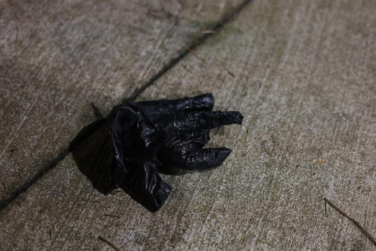 See Portland scene where Border Patrol shot 2 people