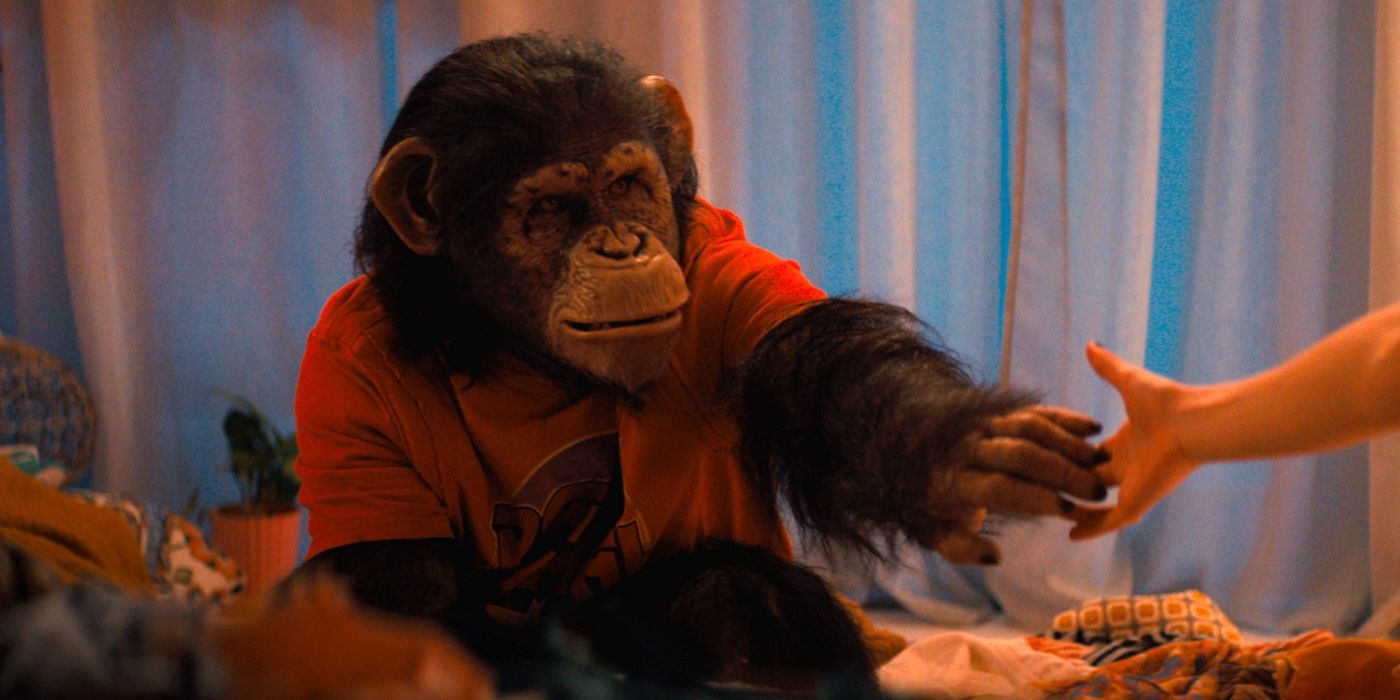 'Primate' review: A campy, gory, killer chimpanzee jamboree