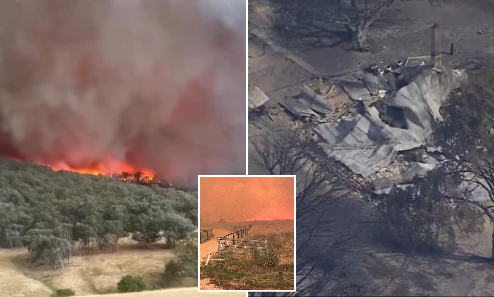 Terrifying fire tornado is seen ripping through bushland as homes are ...