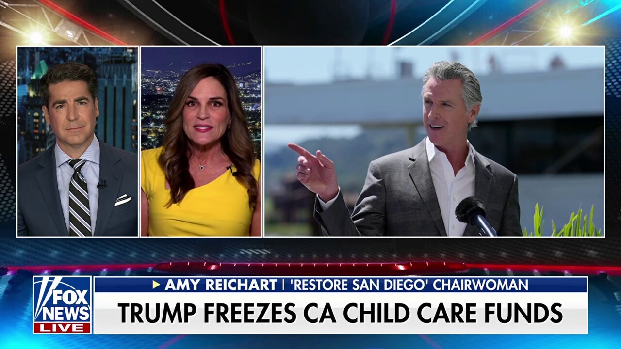 The ‘mother of all fraud’ in California is Gavin Newsom: Amy Reichart
