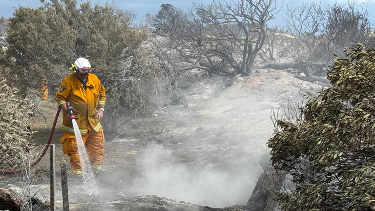 Total fire ban as extreme fire weather predicted for parts of eastern ...