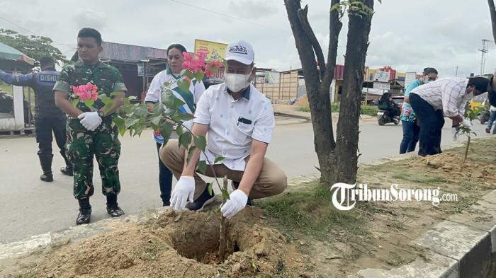 Hijaukan Kota Sorong, ratusan bibit pohon ditanam di median Jalan Ahmad ...