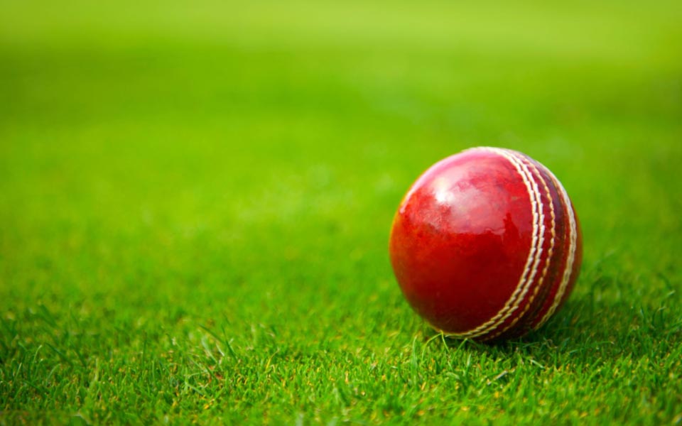 38-year-old Mizoram cricketer dies after collapsing on field during ...